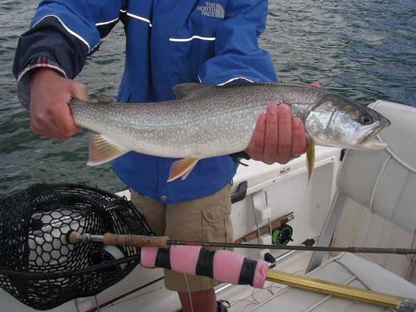 Fishing Whitefish Lake | Montana Fishing Guides