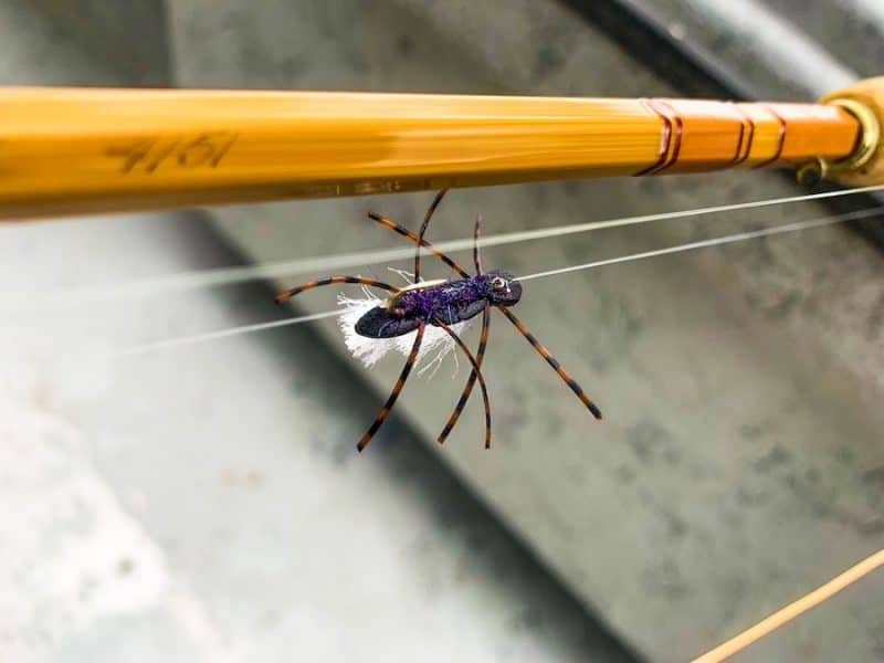 Montana Fly Pattern | Montana Fishing Guides