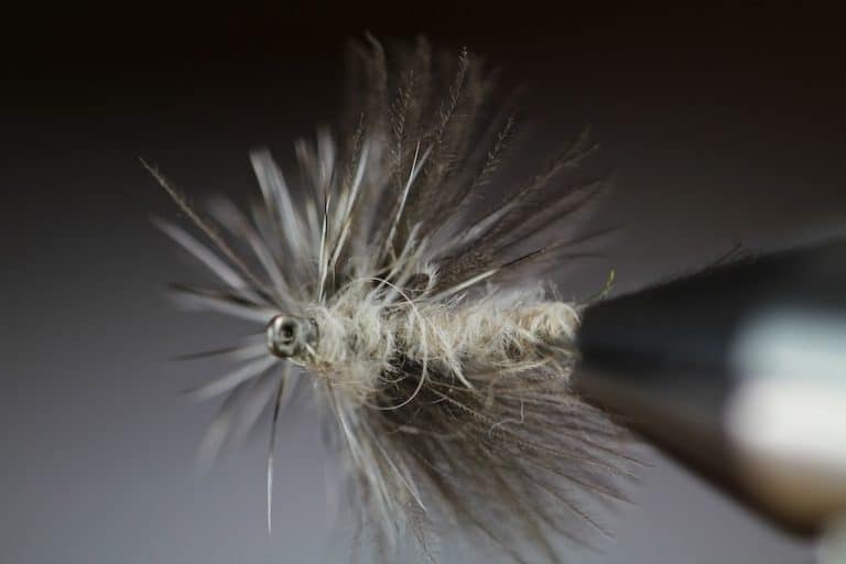 Montana Fly Pattern | Montana Fishing Guides