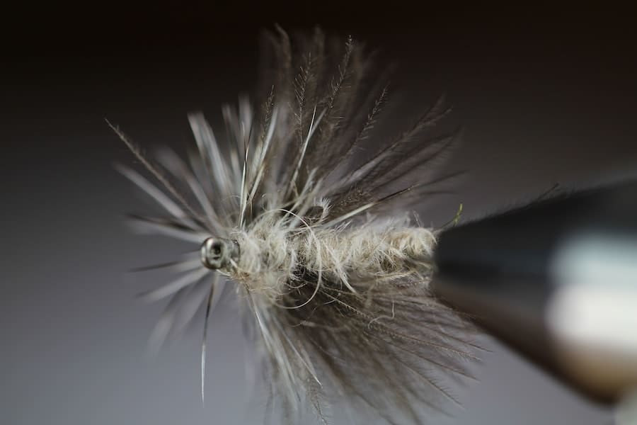 Montana Fly Pattern | Montana Fishing Guides