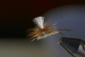 Montana Fly Pattern | Montana Fishing Guides