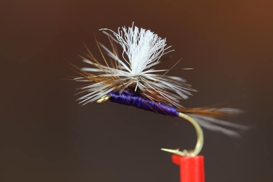 Montana Fly Pattern | Montana Fishing Guides